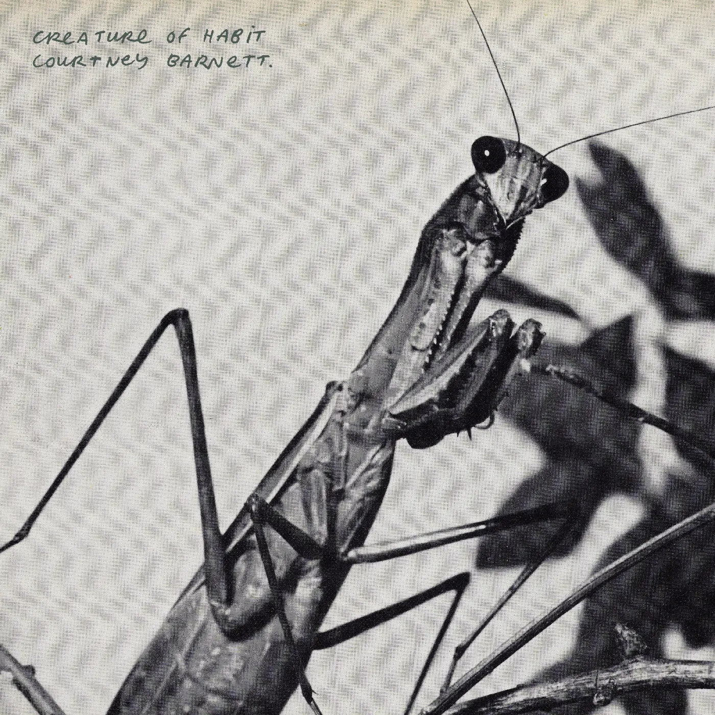 Courtney Barnett - Creature Of Habit [Indie Caramel Vinyl] – Drowned ...