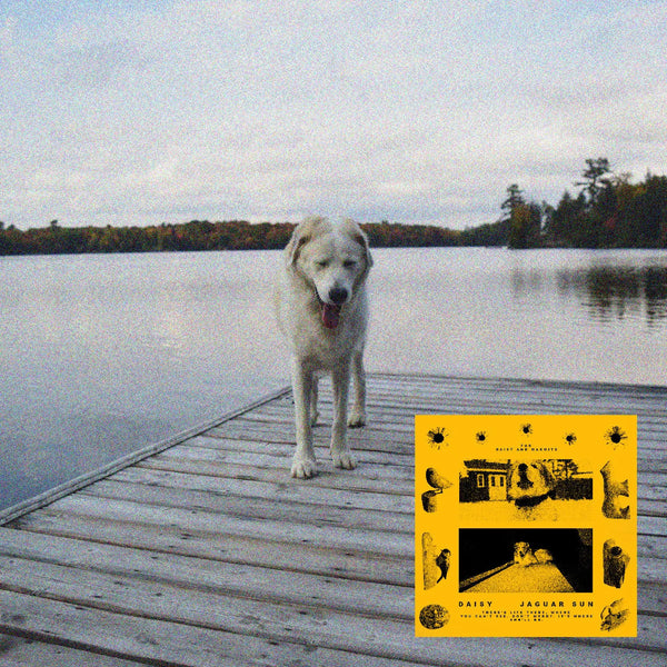 Jaguar Sun - Daisy (Black And Yellow Swirl Vinyl) – Drowned World Records